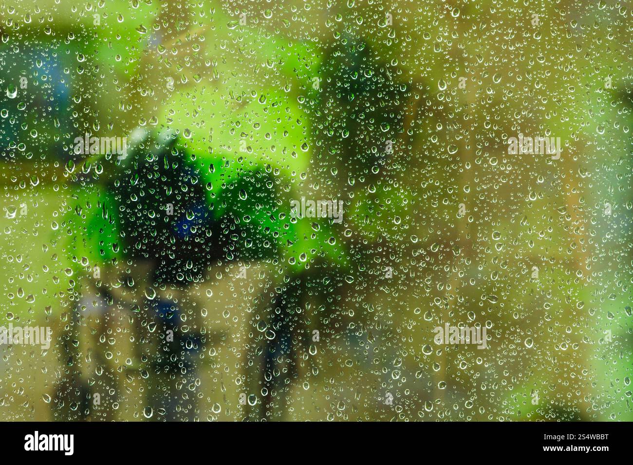 Raindrops during summer shower hi-res stock photography and images - Alamy