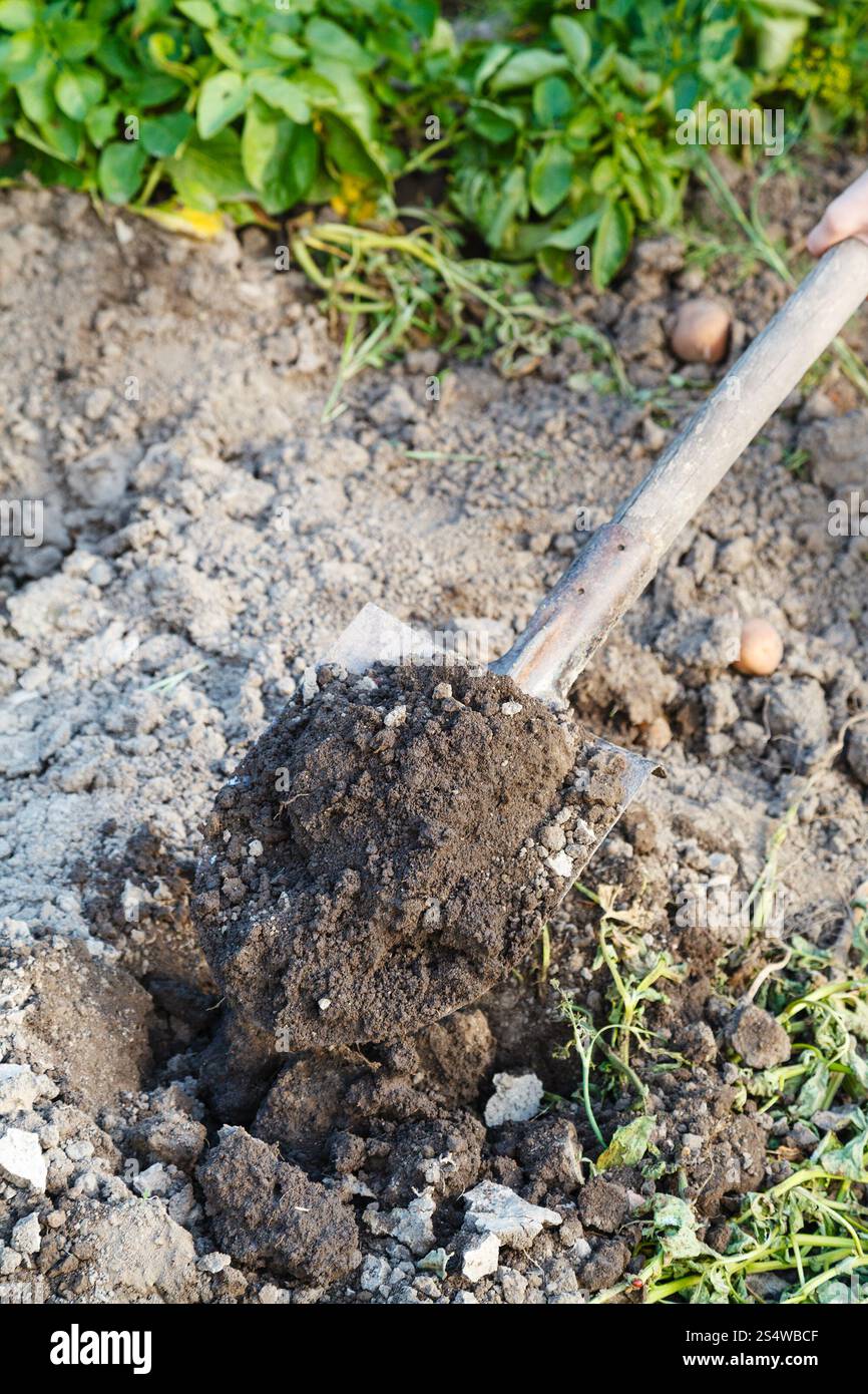 Digging hole in garden bed hi-res stock photography and images - Alamy