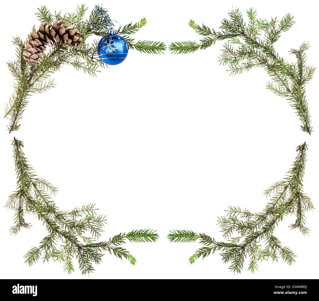 Blue spruce branches cones Cut Out Stock Images & Pictures - Alamy