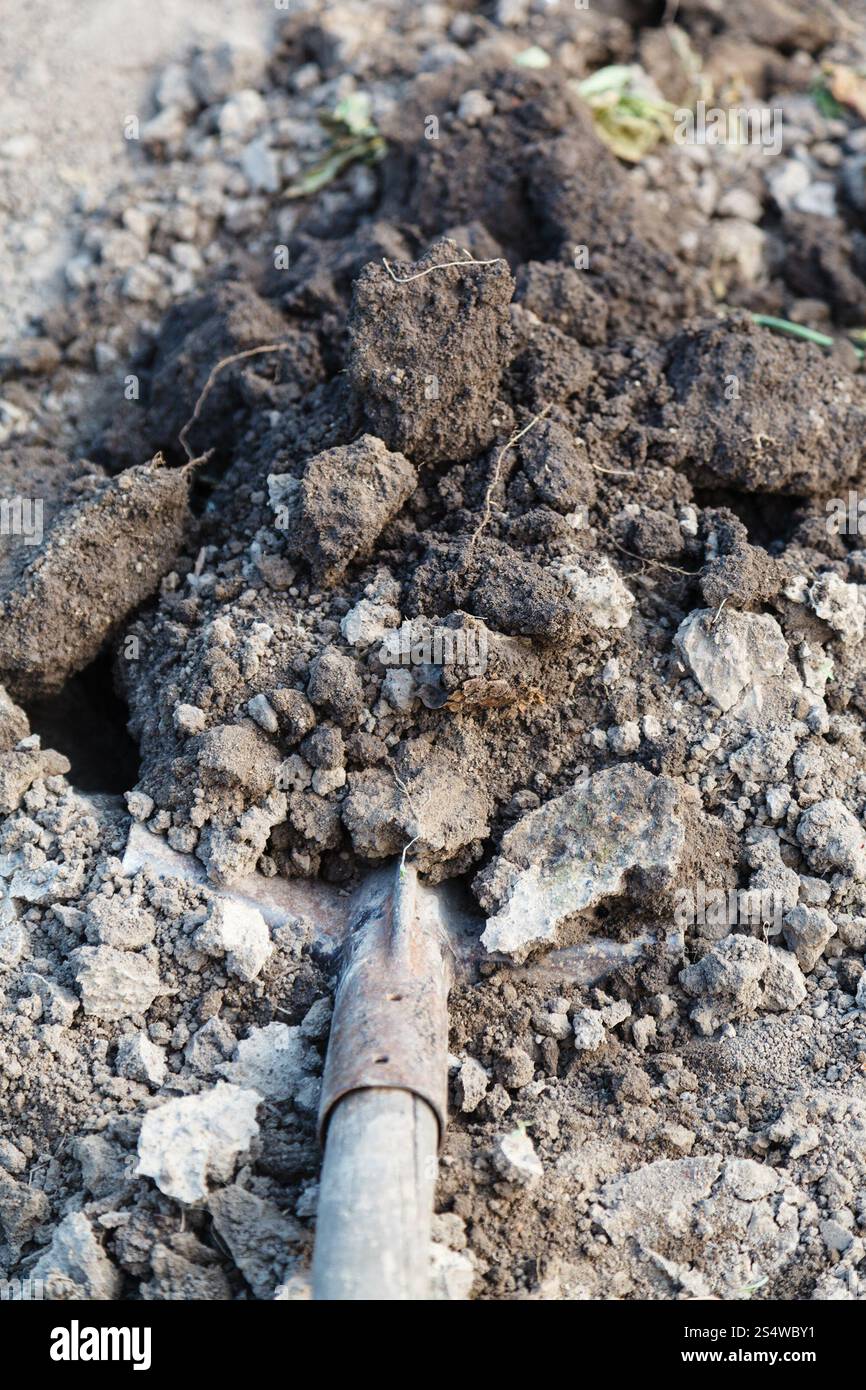 digging a hole by spade close up in summer day Stock Photo - Alamy