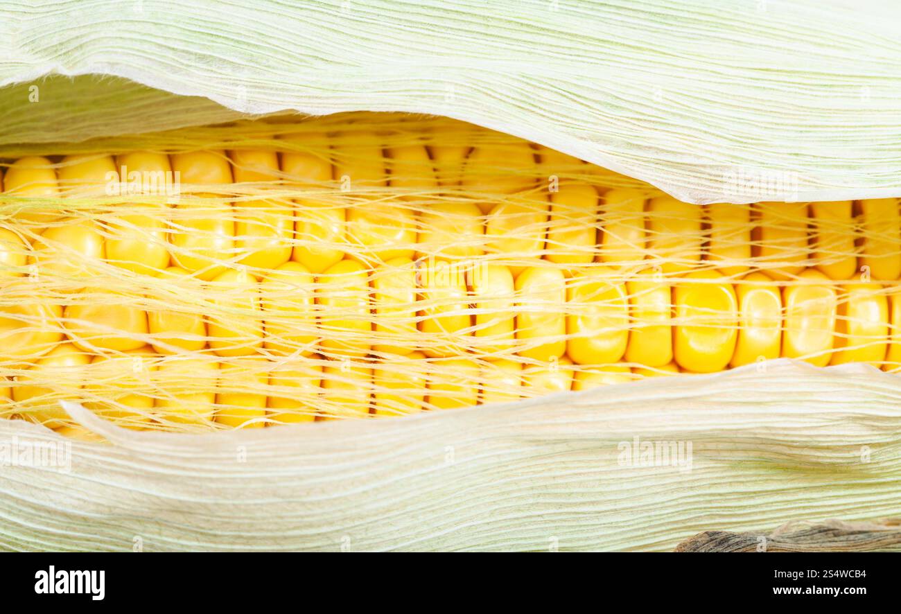 Close up ripe seeds hi-res stock photography and images - Alamy