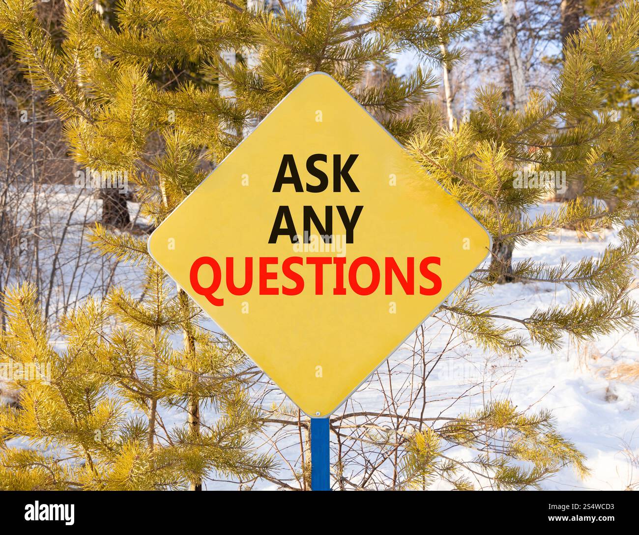 Ask any questions symbol. Concept words Ask any questions on beautiful ...