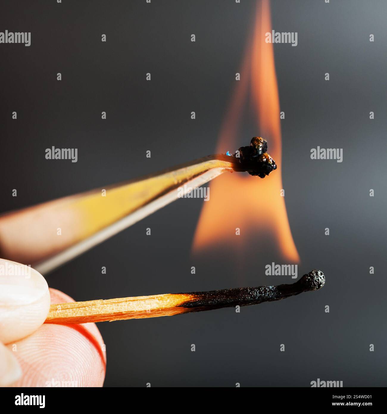 experiment to determine the composition of tissue - match flame ignites ...