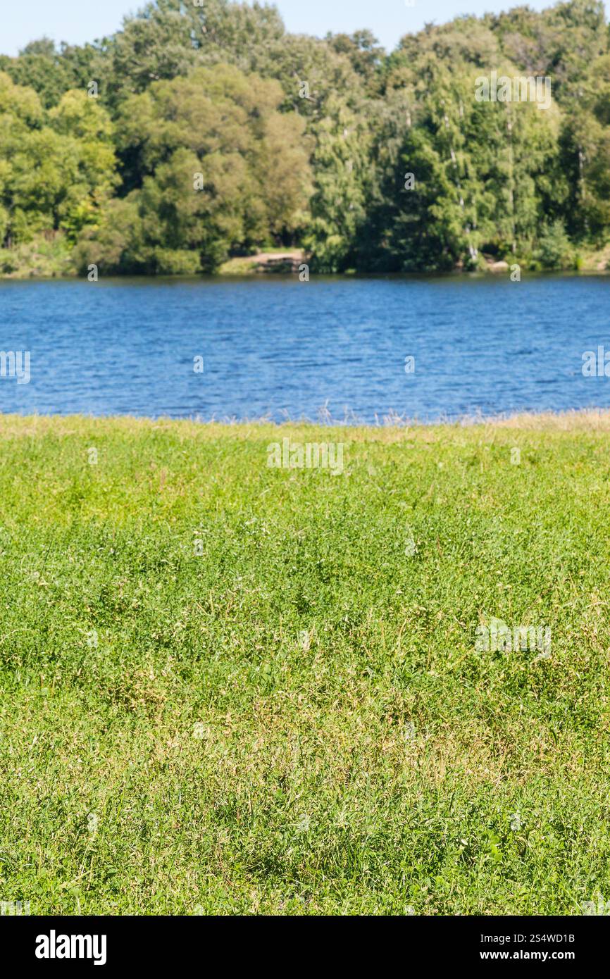 Green grass on riverside in hi-res stock photography and images - Alamy