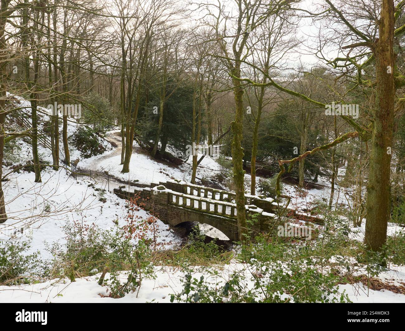 Snow-covered stone bridge in a serene winter forest landscape ...