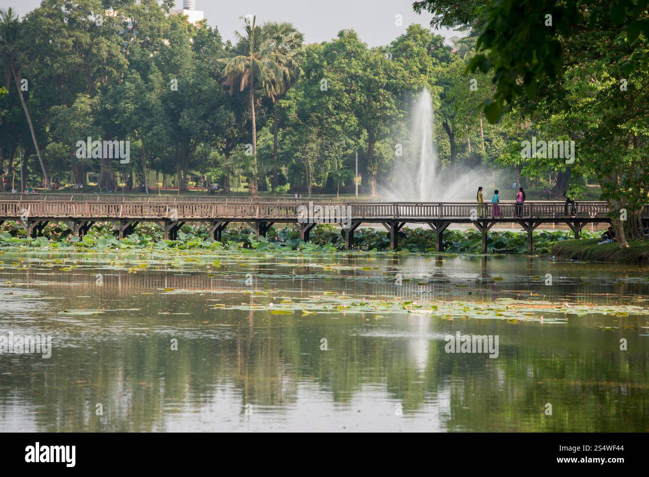 the Kandawgyi lake in the City of Yangon in Myanmar in Southeastasia ...