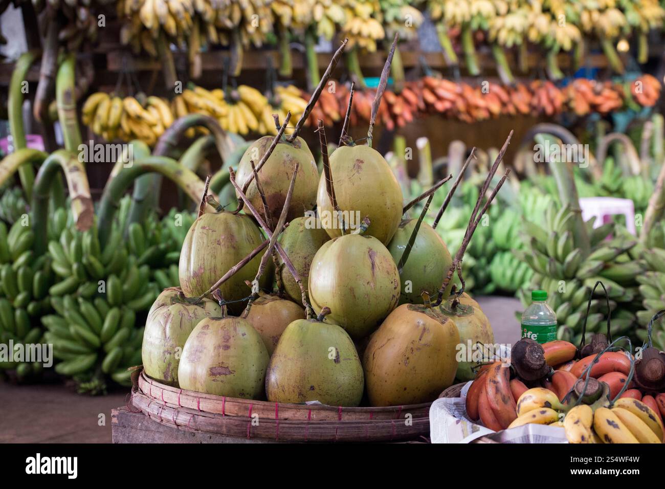 Cocosnut in a Fruit market in a Market near the City of Yangon in ...
