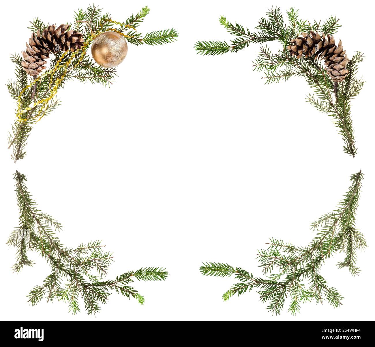 Pine tree branches bauble Cut Out Stock Images & Pictures - Alamy