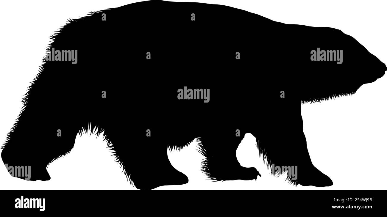 Polar Bear Silhouette. Highly Detailed Smooth Design. Vector ...