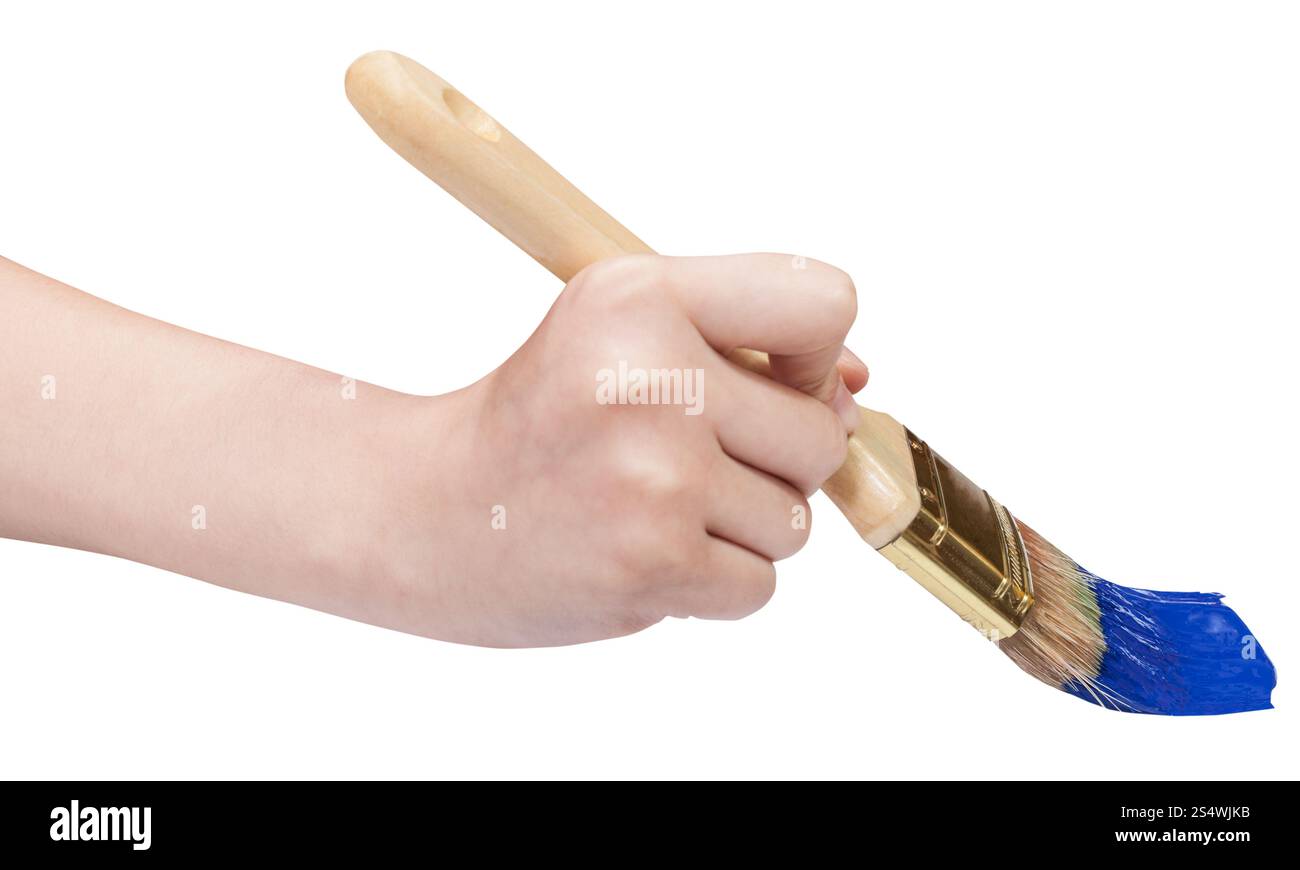 house painter hand paints with flat brush in blue paint isolated on ...