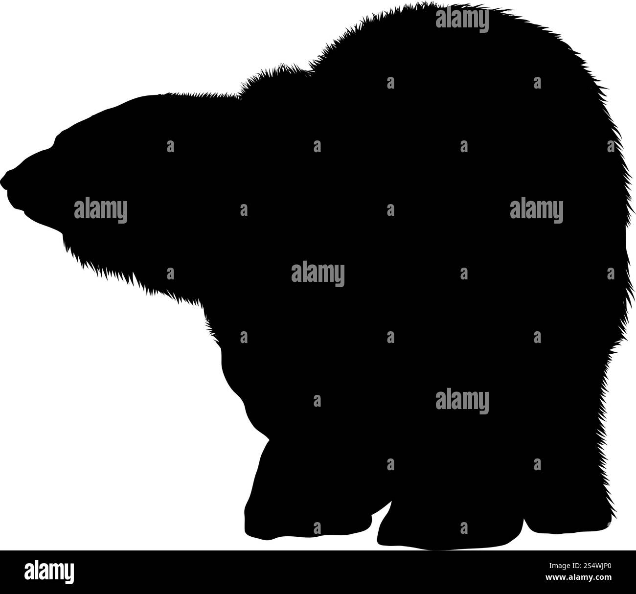 Polar Bear Silhouette. Highly Detailed Smooth Design. Vector ...