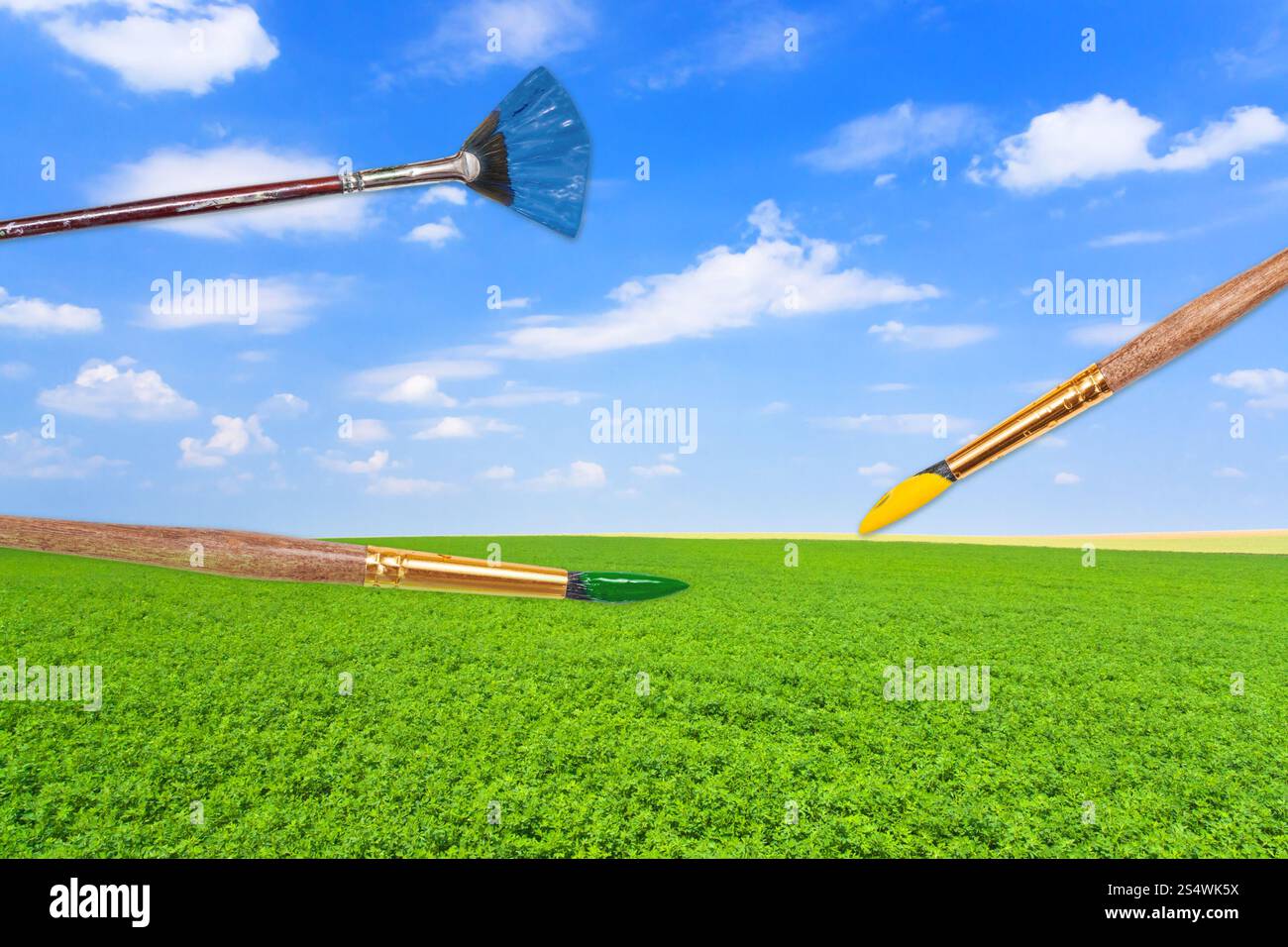 Lucerne plant drawing hi-res stock photography and images - Alamy