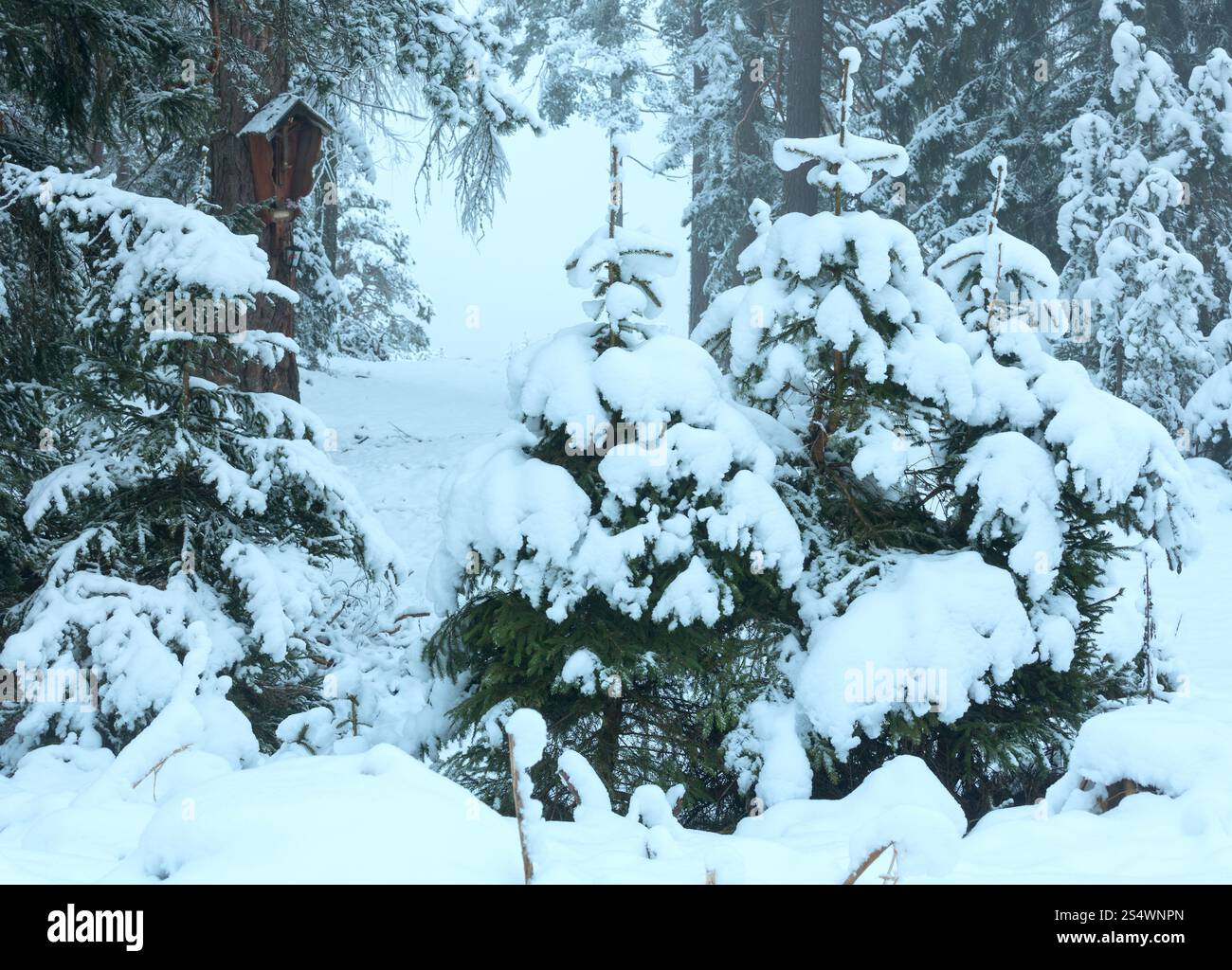 Winter forest with snowy fir trees and the Crucifixion of Jesus Christ ...