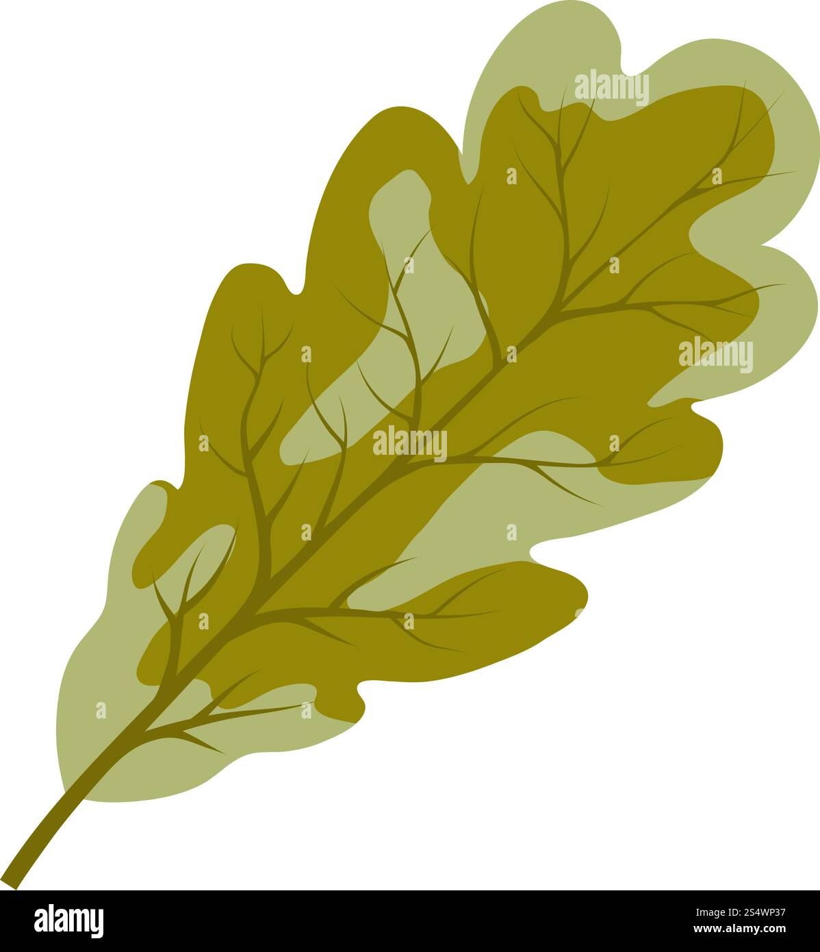 Autumn Oak Leaf. Fall Collection. Vector illustration Stock Vector ...