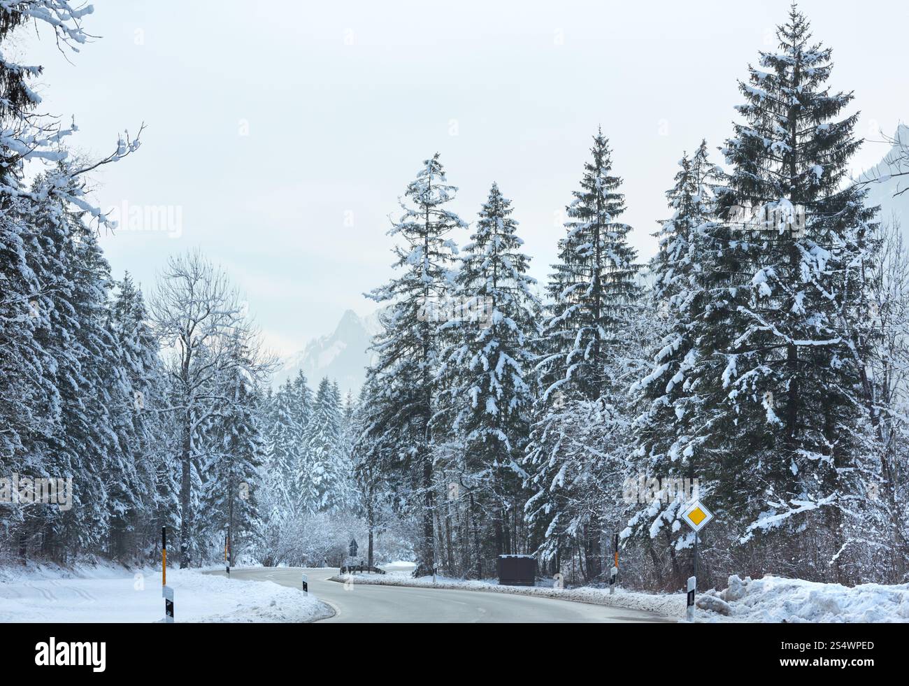Mountain snowy forest road hi-res stock photography and images - Alamy