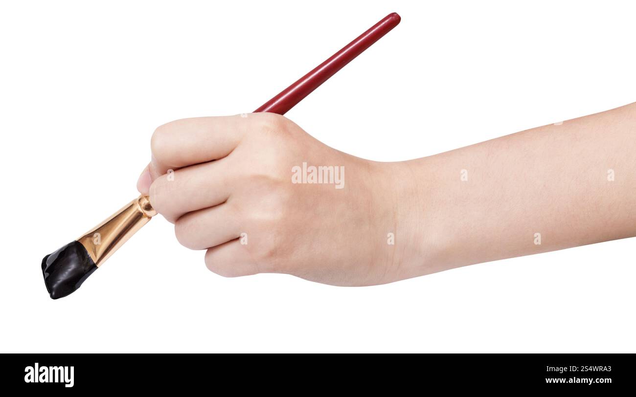 hand holds artistic flat paintbrush with black painted tip isolated on ...
