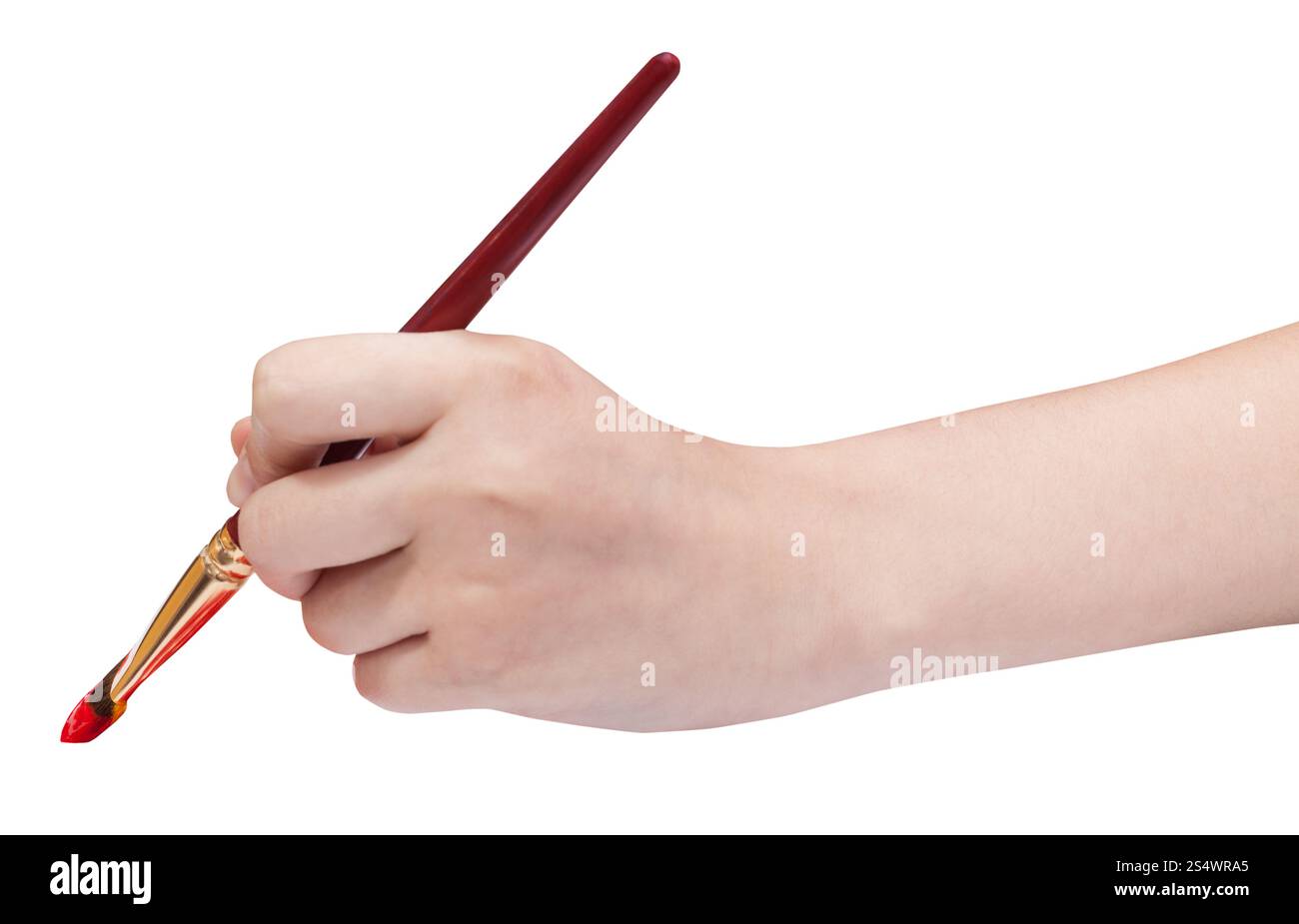 hand holds artistic flat paintbrush with red painted tip isolated on ...