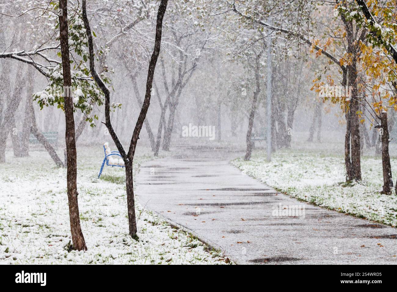 Pathway in autumn park hi-res stock photography and images - Alamy