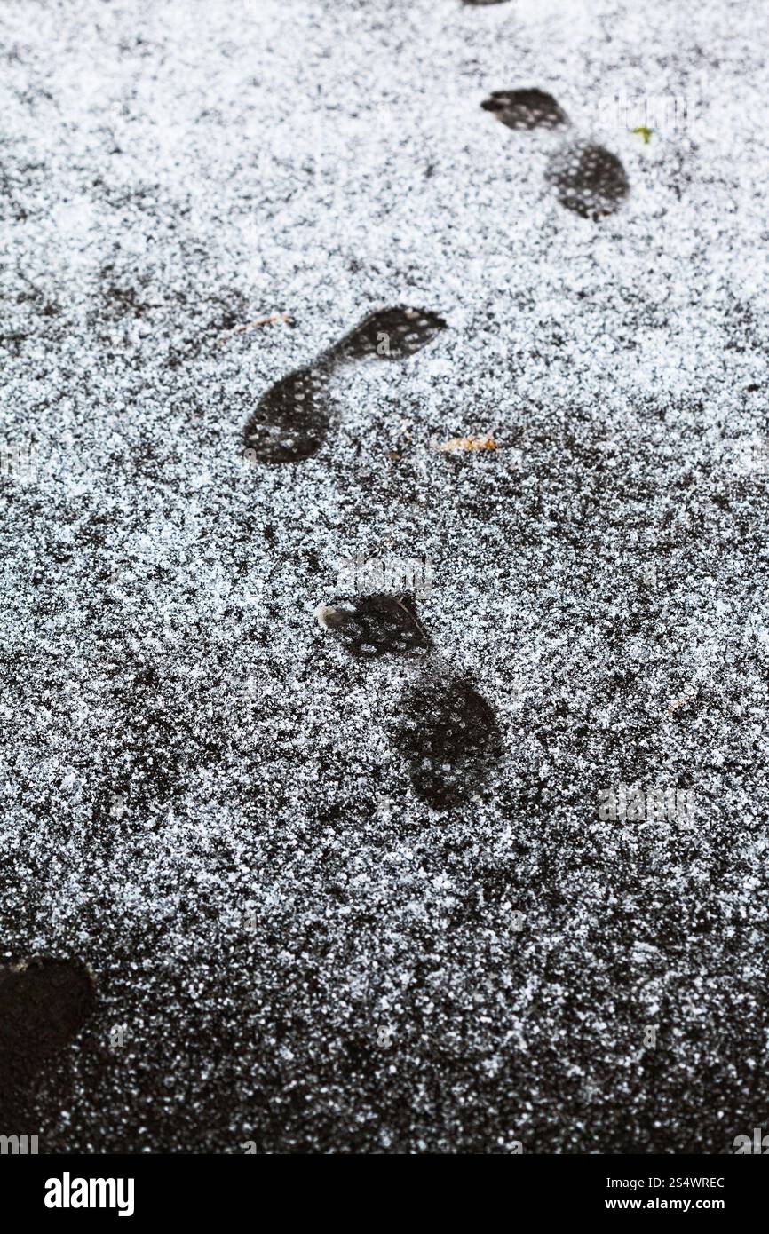 human footprints on sidewalk covered by first snow in autumn Stock ...
