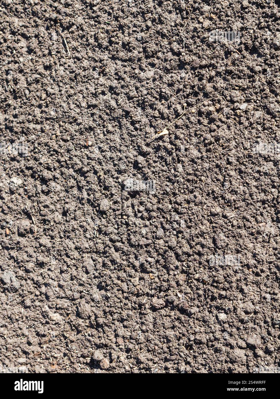 surface of loosened soil with grass seeds outdoors Stock Photo - Alamy