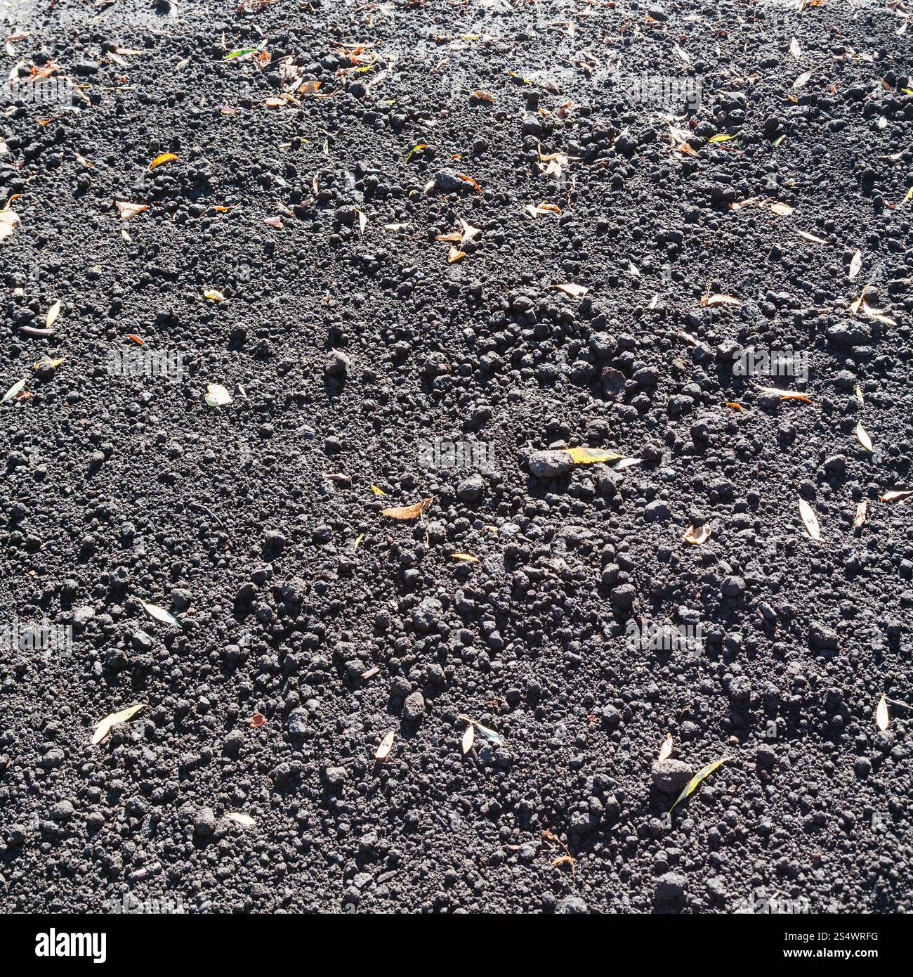 natural background from loosened soil and fallen leaves in autumn Stock ...