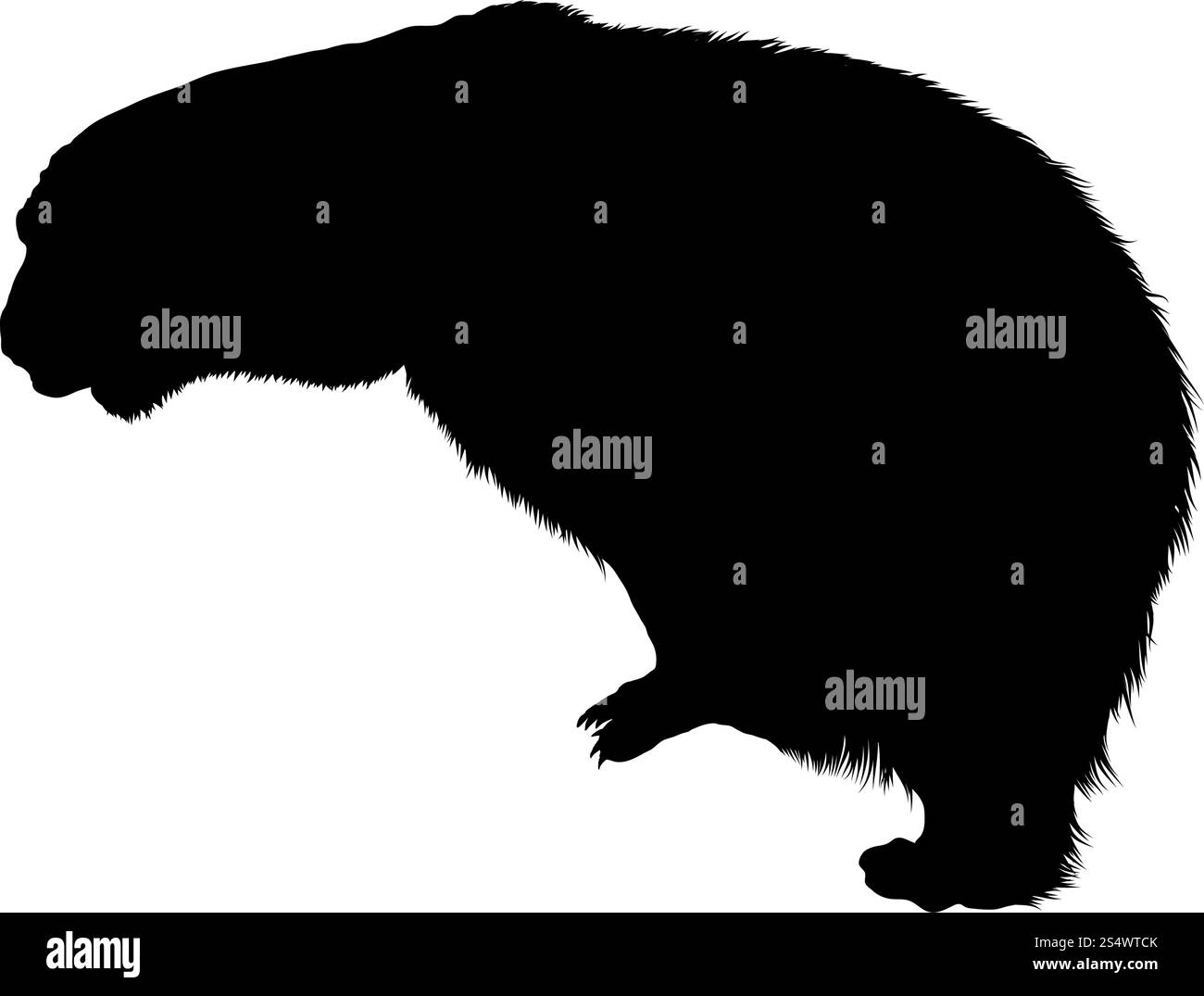 Polar Bear Silhouette. Highly Detailed Smooth Design. Vector ...