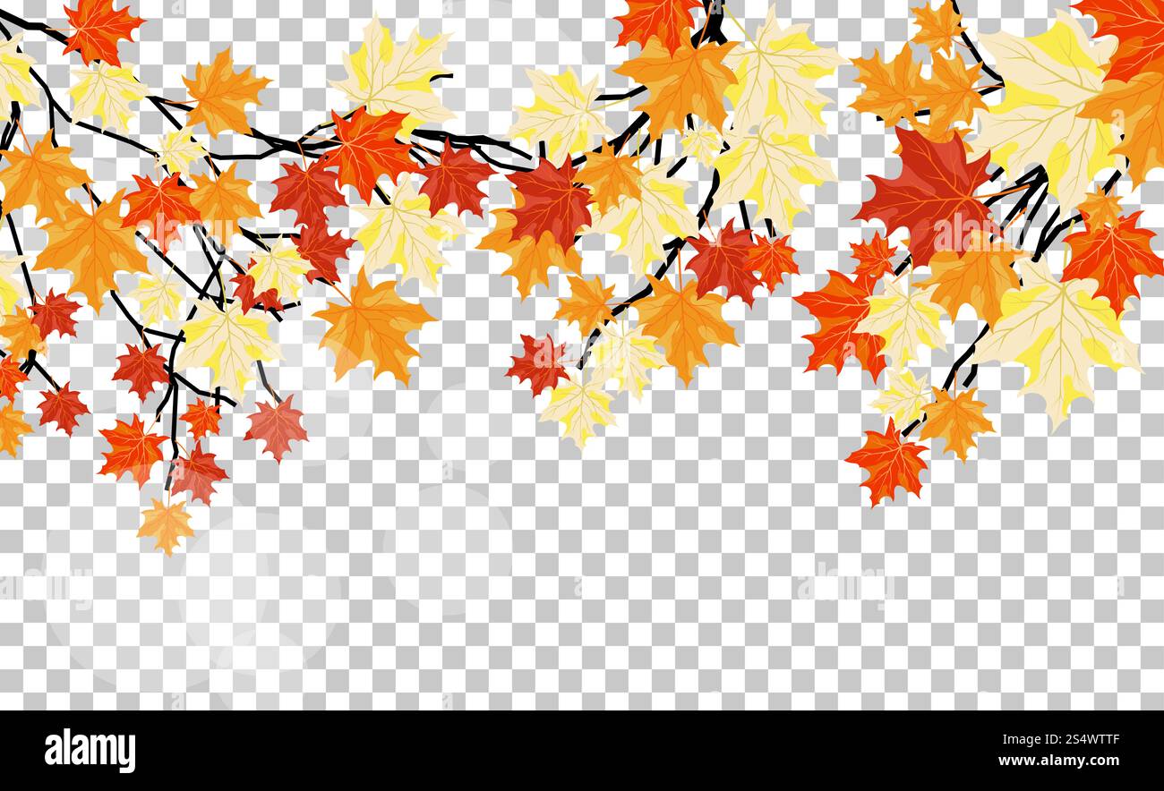 Falling maple leaves with transparency grid on back. Vector ...