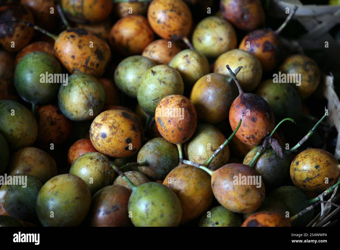 the market Pasar Badung in the city of denpasar of the island Bali in ...