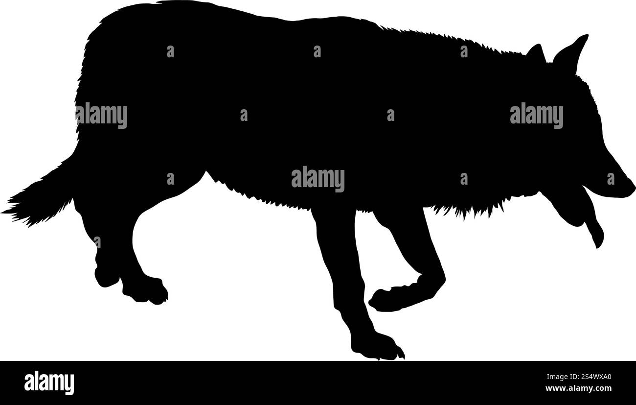 Wolf Silhouette. Highly Detailed Smooth Design. Vector Illustration ...