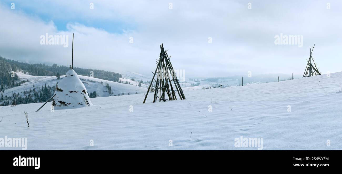 Winter mountain panorama with haystack on a forefront (Slavske Village ...