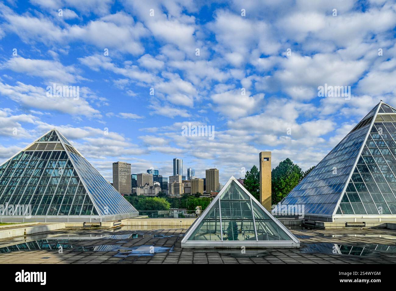 Edmonton skyline and Muttart Conservatory glass Pyramids, Edmonton ...