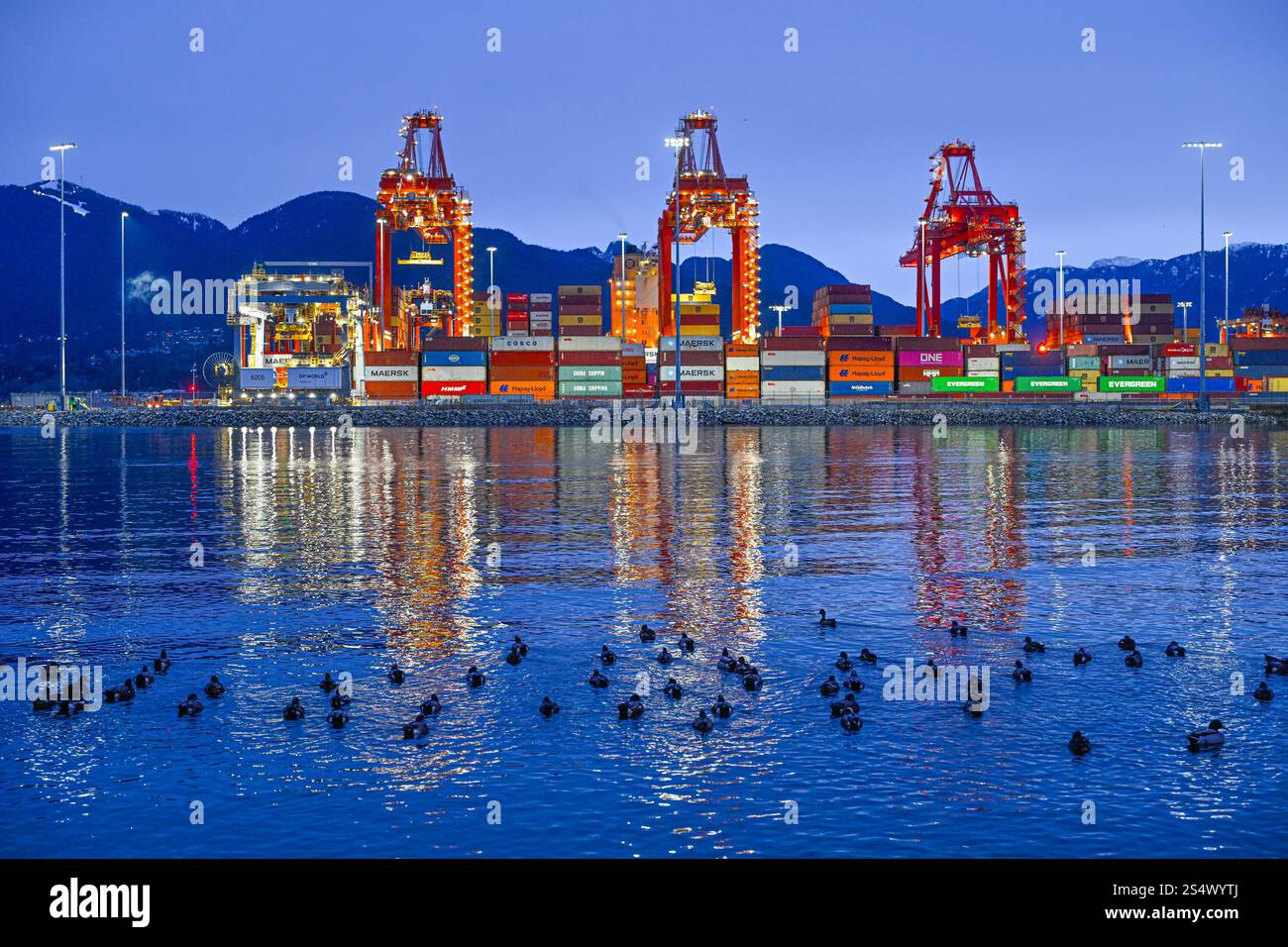 Vanterm container terminal hi-res stock photography and images - Alamy