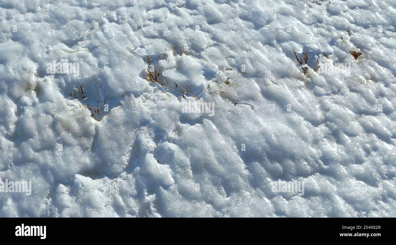 Wind form ice texture on winter mountain snow surface Stock Photo - Alamy