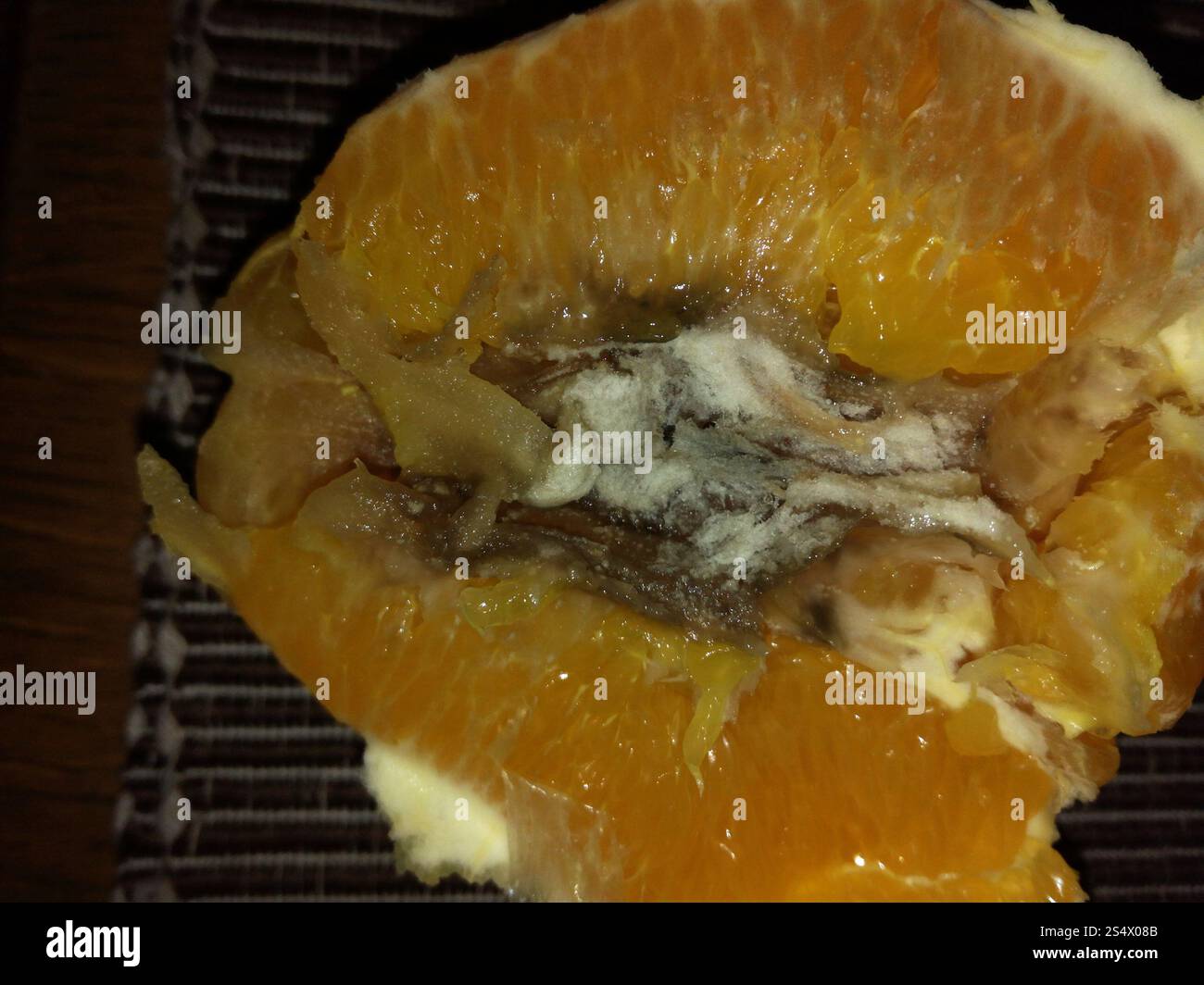 citrus green mold (Penicillium digitatum Stock Photo - Alamy