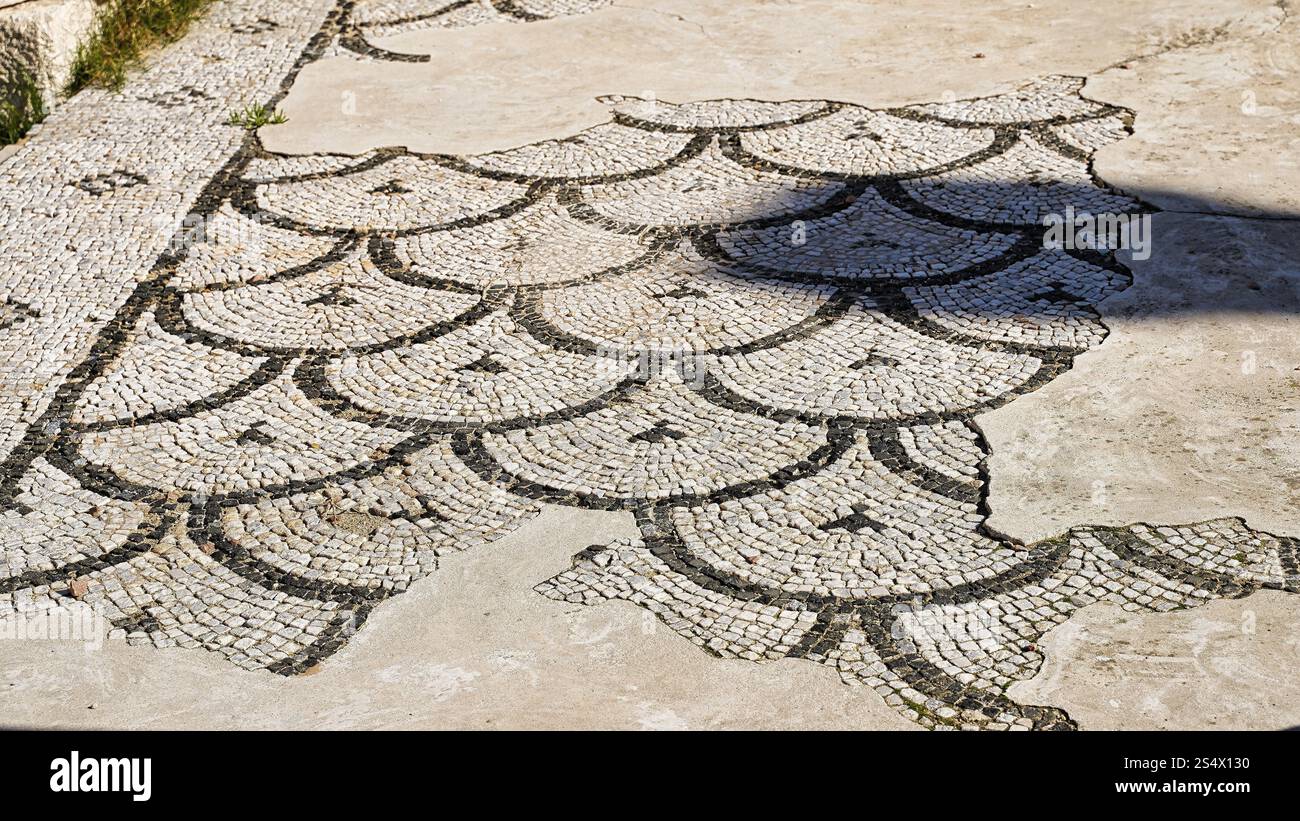 Intricate floor Mosaics from the Roman villa,part of the Kom El Dikka ...