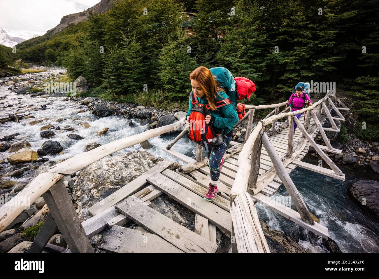 Hiker crossing a log bridge on the W trek, Ascencio Valley, Torres del ...