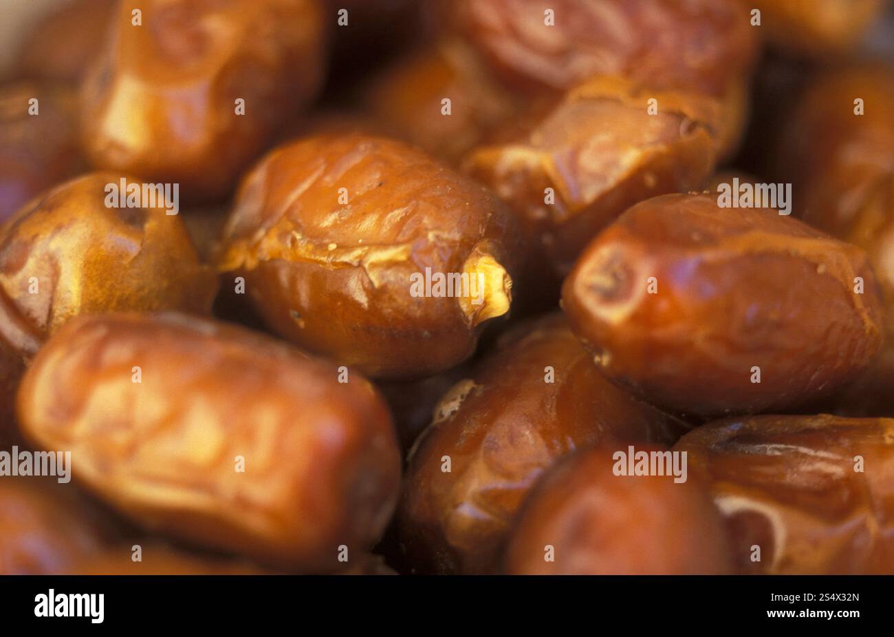 dates at the market in the Oasis and village of Siwa in the lybian or ...