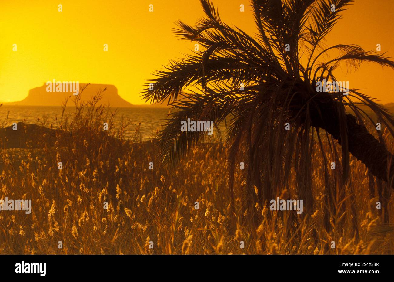the Landscape and nature of the Oasis and village of Siwa in the lybian ...