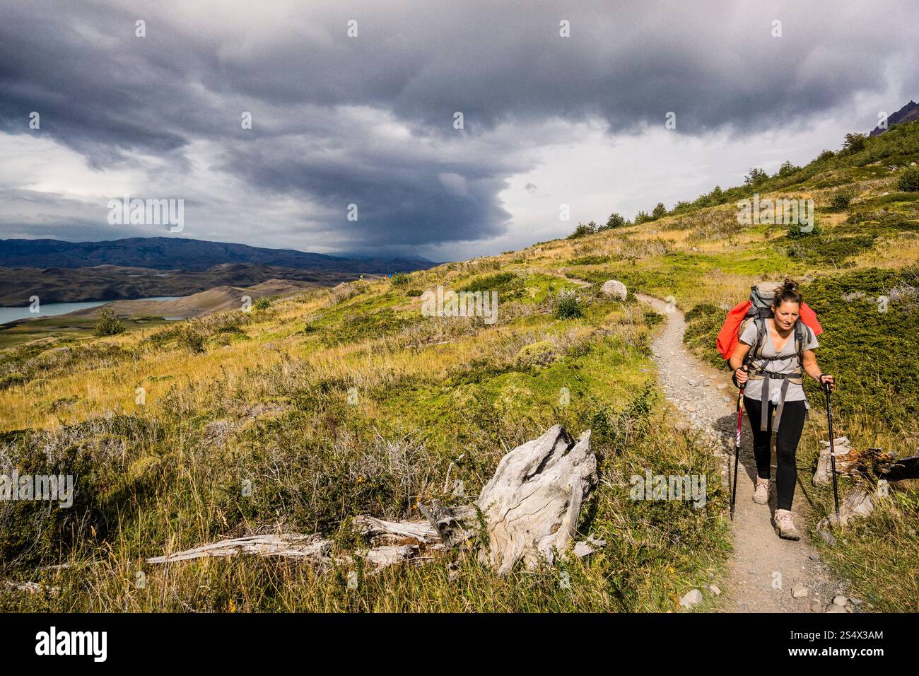 Hikers walking the W trek, Torres del Paine National Park, National ...