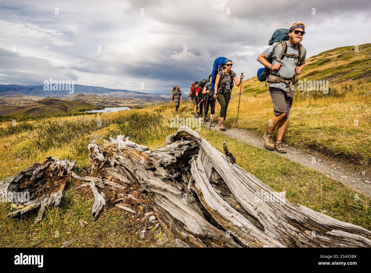 Hikers walking the W trek, Torres del Paine National Park, National ...