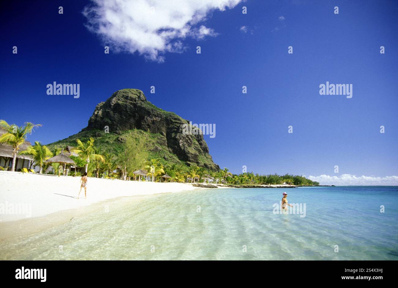 the landscape near Tamarin on the island of Mauritius in the indian ...