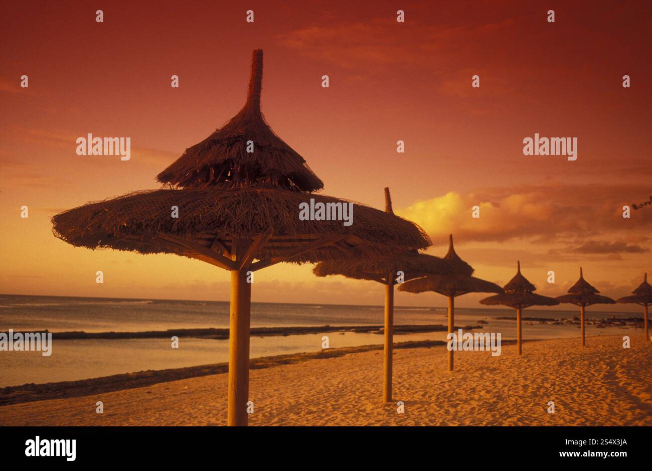 a sunset on a beach on the island of Mauritius in the indian ocean ...