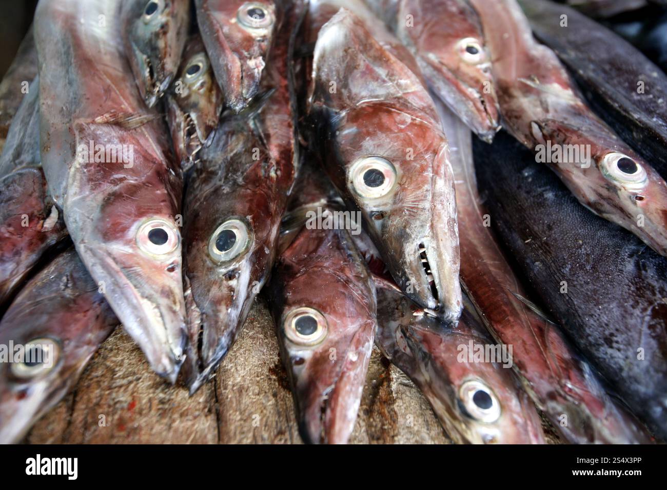 the fish market at the beach in the town of Juangriego on the Isla ...