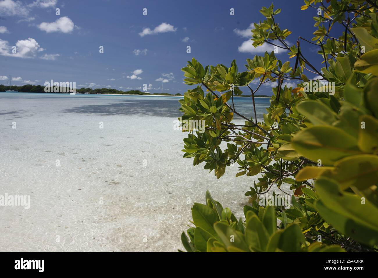 a beach at the village on the Gran Roque Island at the Los Roques ...