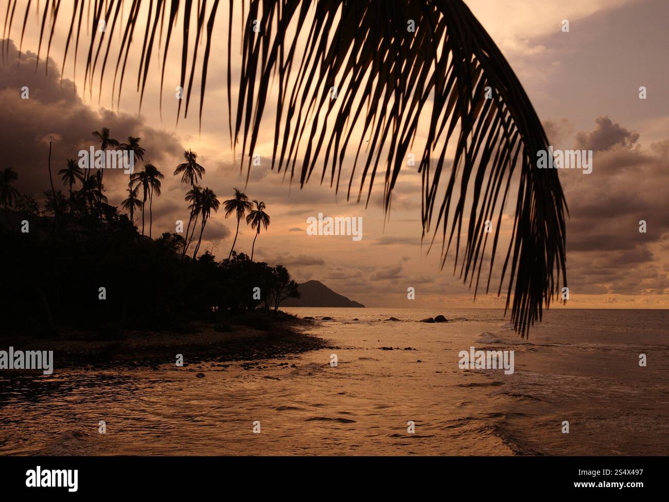 a beach at the village of choroni on the caribbean coast in Venezuela ...