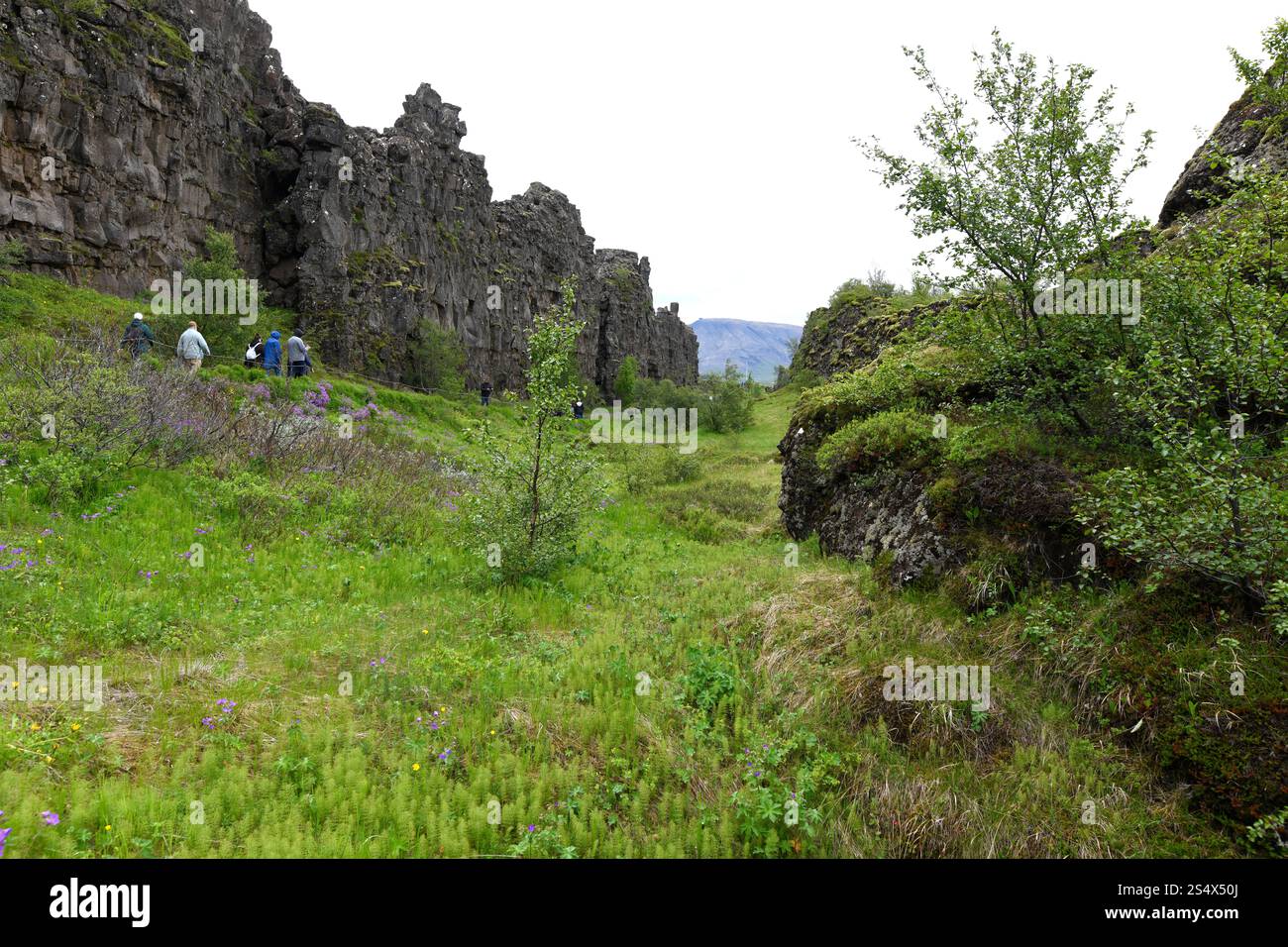 Almannagjá rift marks the separation between the American plate (left ...