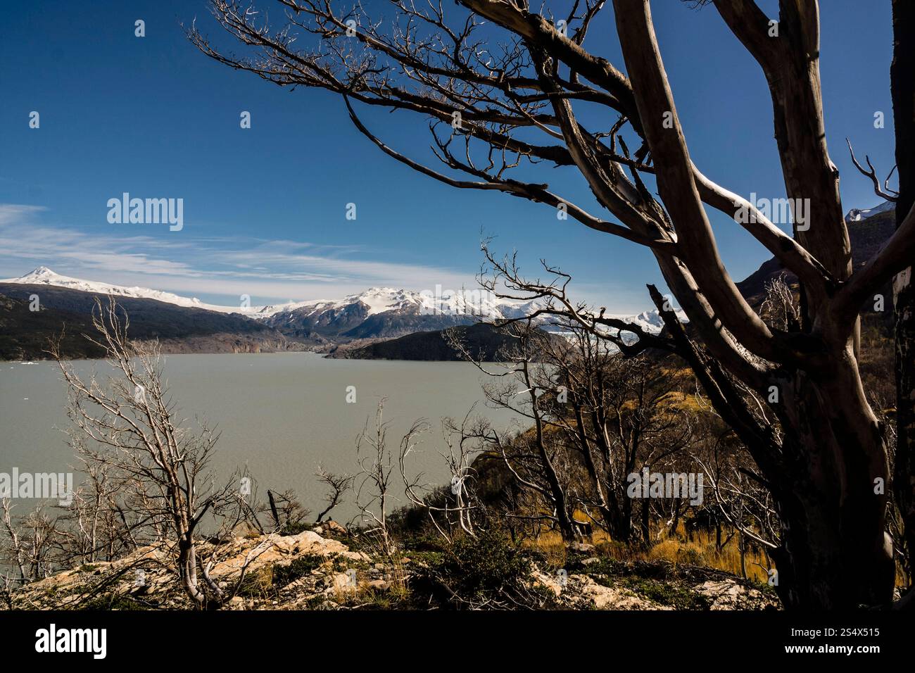 Grey Refuge and Glacier, Grey Lake Valley, walking the W trek, Torres ...