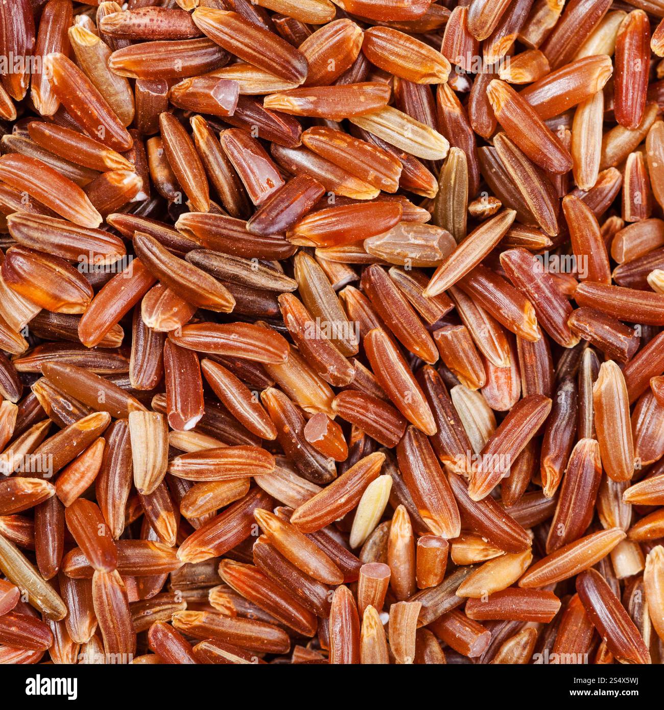 square food background - uncooked long grain Red Kernel rice close up ...