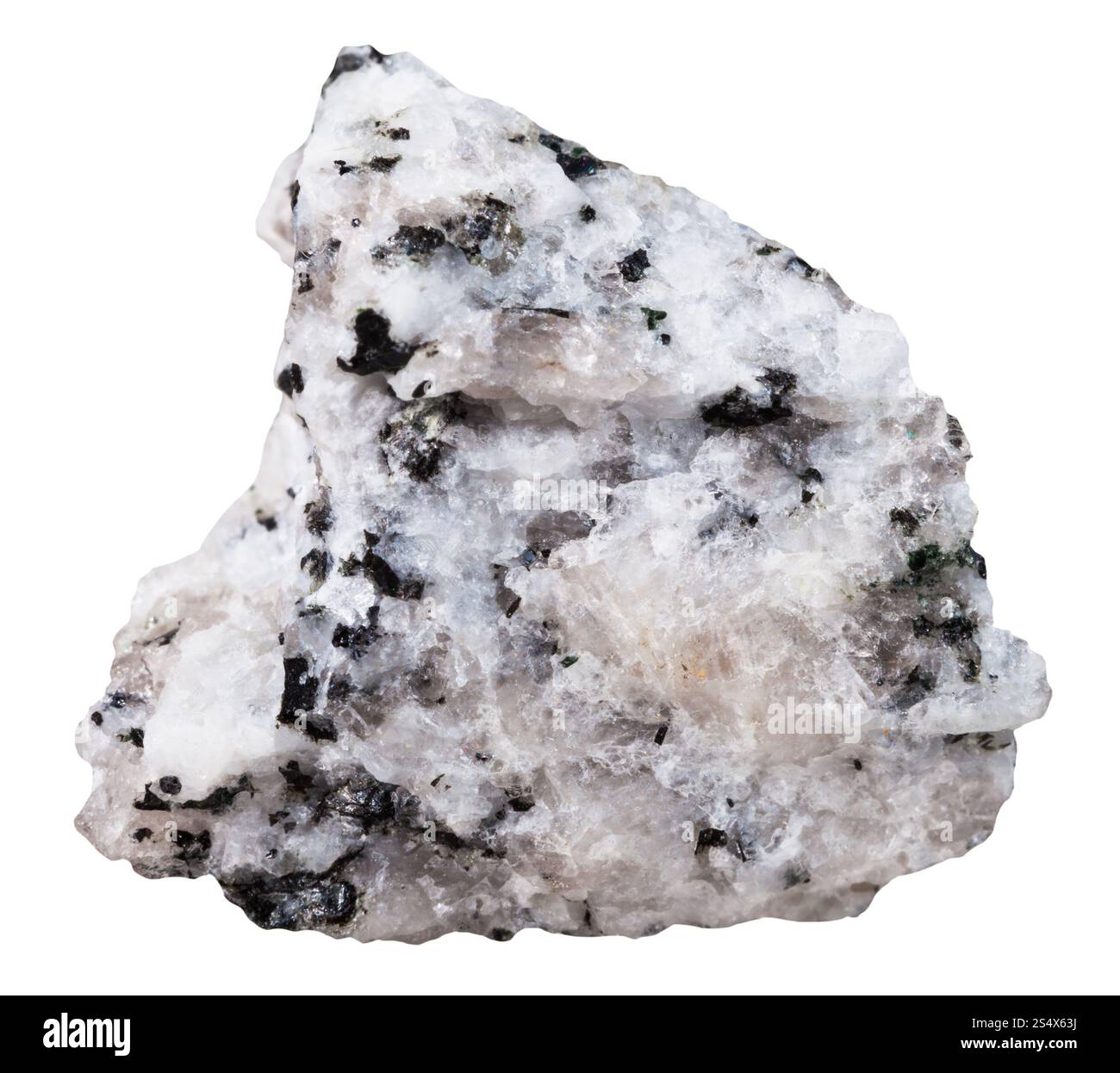 macro shooting of specimen natural rock - specimen of Diorite mineral ...