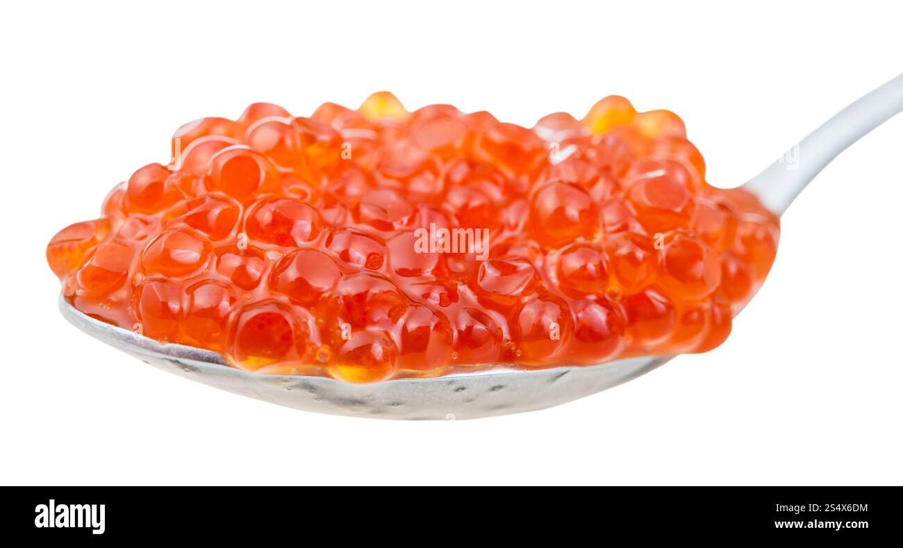side view of salty Sockeye salmon Red caviar on spoon close up isolated ...